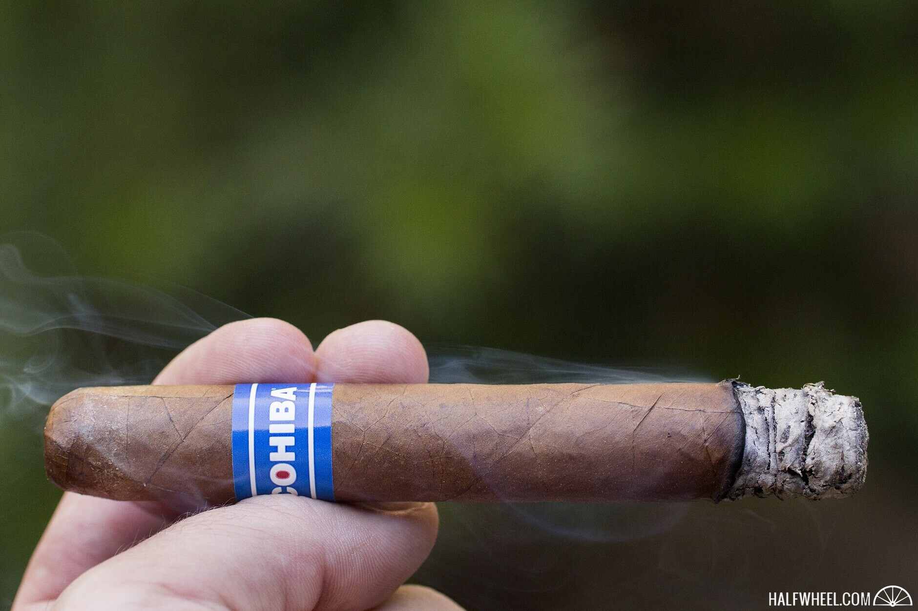 Cohiba Blue Review: Unbiased Analysis & Detailed Overview of the ...